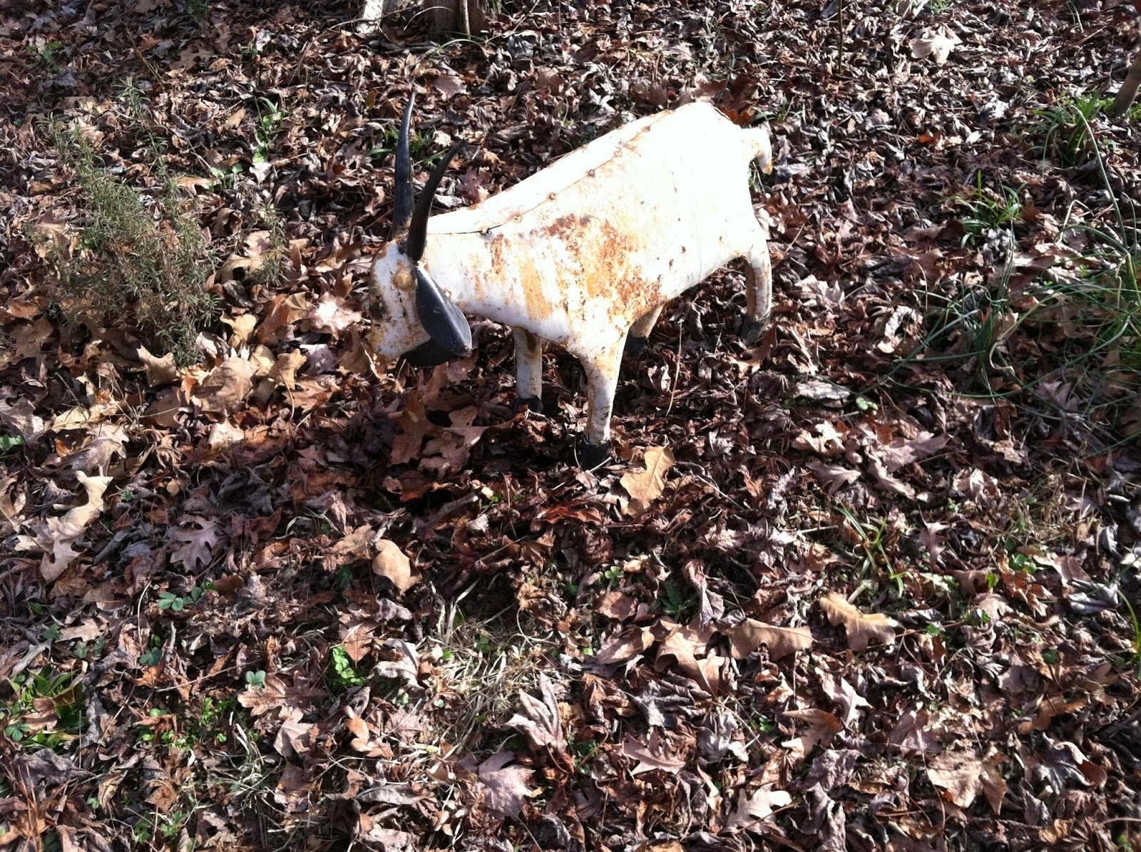 Goat death and resurrection...